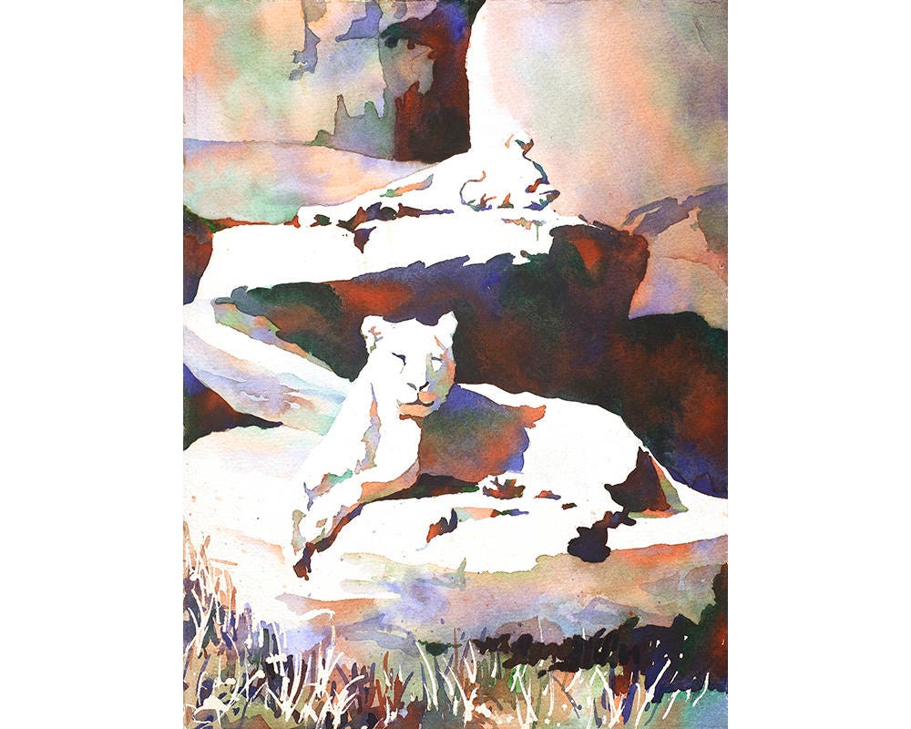 Lions lying on rocks at North Carolina zoo. Lion art watercolor Painti ...
